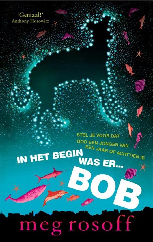 In het begin was er Bob (ebook), Meg Rosoff | 9789048811595 | Boeken ...