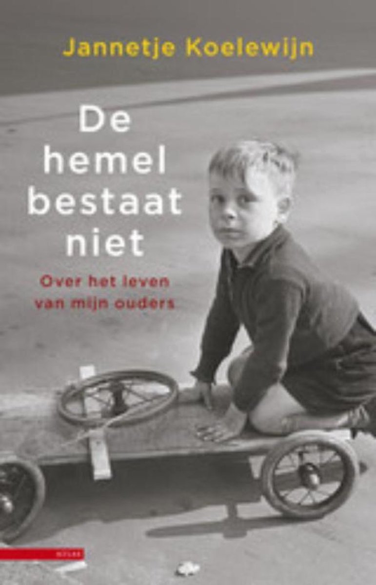 De hemel bestaat niet (ebook), Jannetje Koelewijn | 9789045019857 ...