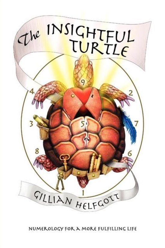 Insightful Turtle*************, Gillian Helfgott | 9781902405834 ...