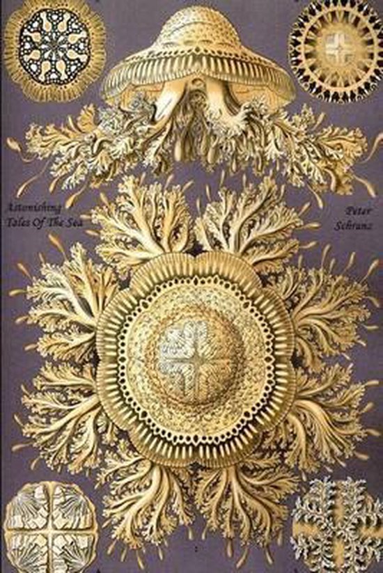 Astonishing Tales Of The Sea, Peter Wakeman Schranz | 9781479325153 ...