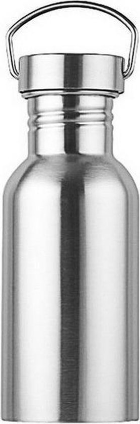 RVS drinkfles 500 ml | bol.com
