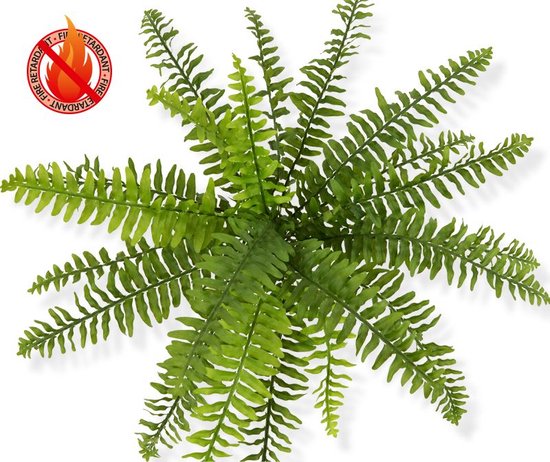 Boston Varen deluxe kunstplant x21 50cm - FR - brandvertragend | bol