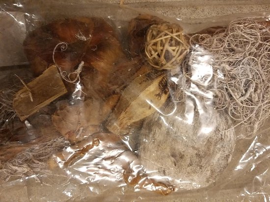 Exoten mix - decoratiemateriaal | bol.com