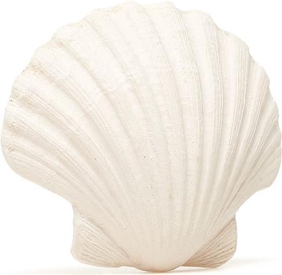 Lanco rubberen bijtspeeltje - Schelp - plat - wit | bol
