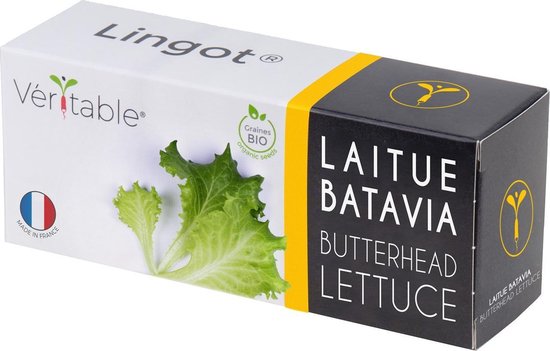 Véritable® Lingot® Organic Butterhead Lettuce - BIO BATAVIA SLA ...