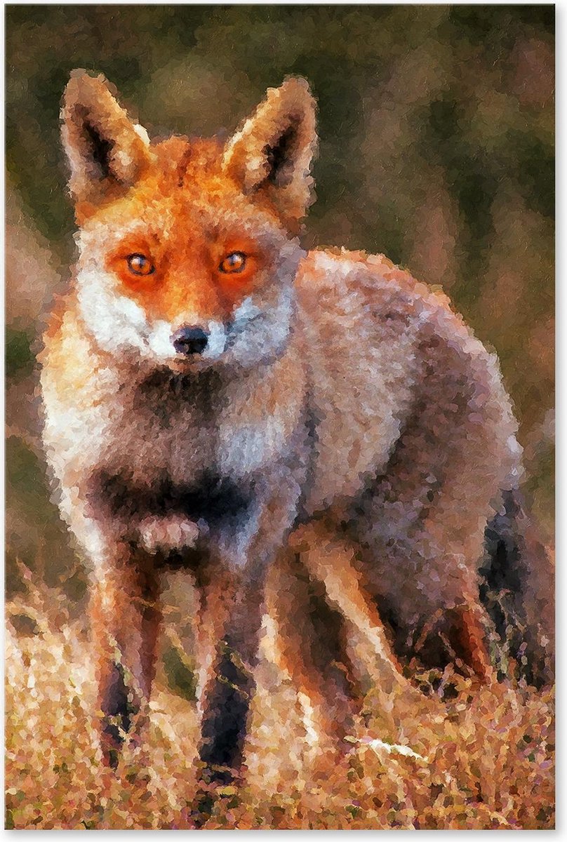 Graphic Message Schilderij op Canvas Vos - Natuur - Veluwe | bol.com