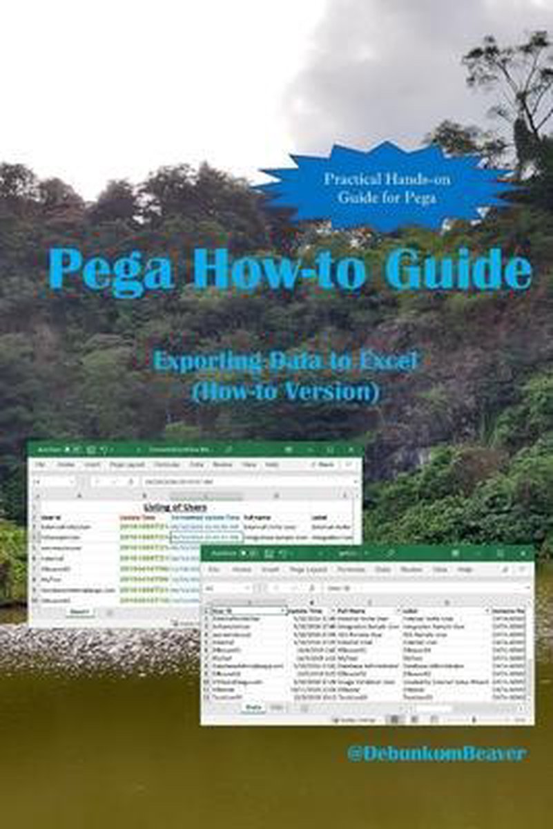 Pega How-to Guide, Debunkum Beaver | 9789811703119 | Boeken | bol