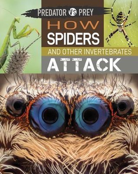 Predator vs Prey- Predator vs Prey: How Spiders and other Invertebrates ...