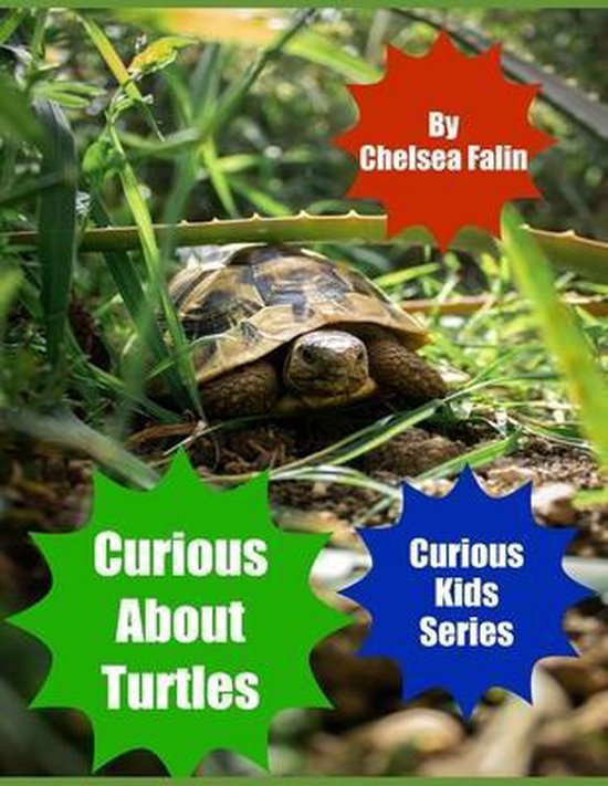 Curious Kids- Curious About Turtles, Chelsea Falin | 9798582951070 | Boeken | bol.com