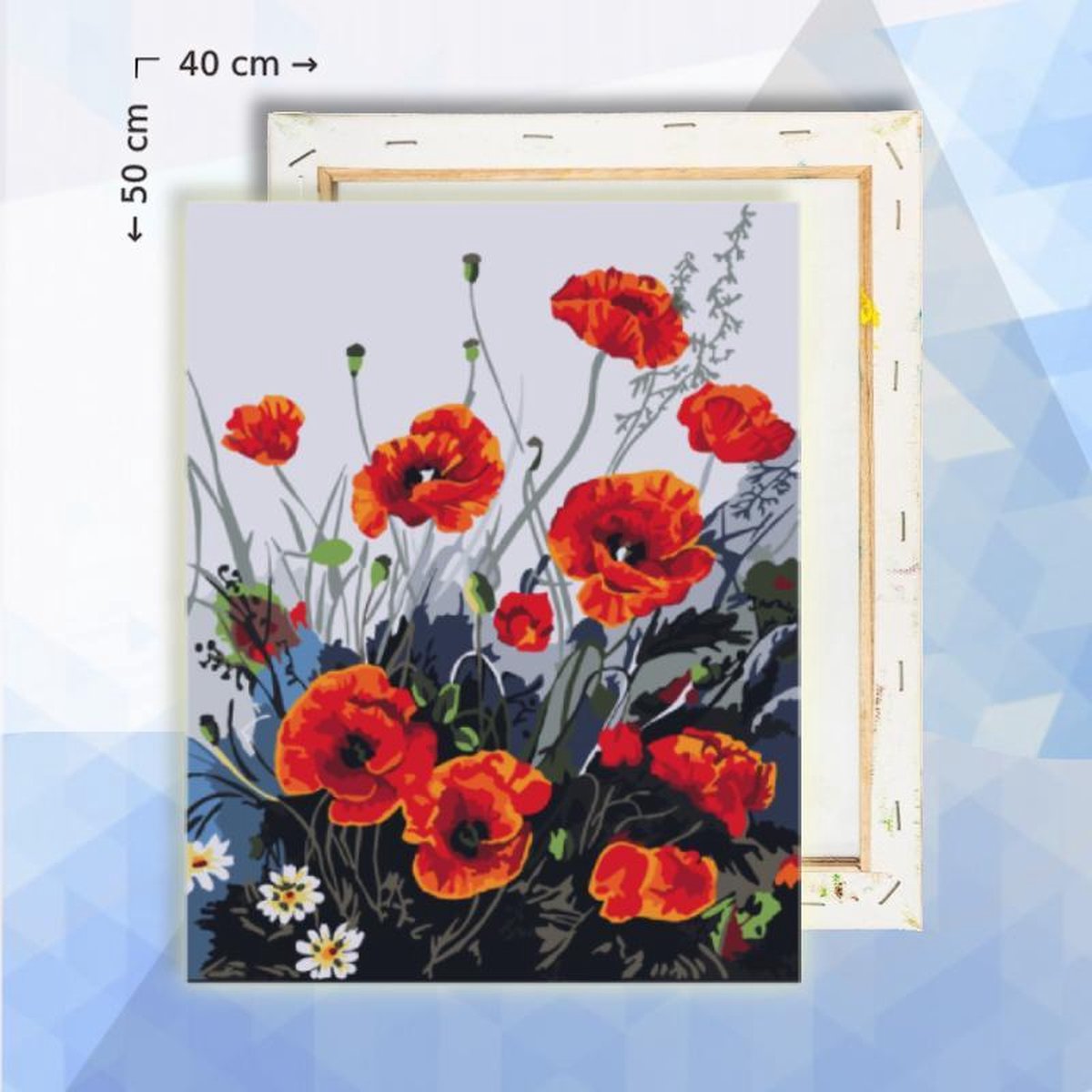 Schilderen op nummer pakket Klaprozen 40 x 50 cm - met frame | bol.com