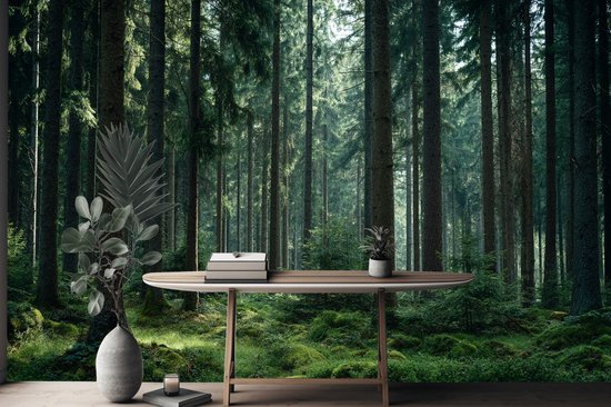 Naadloos behang Fotobehang - Enchanted Forest Serenity Wall Mural ...