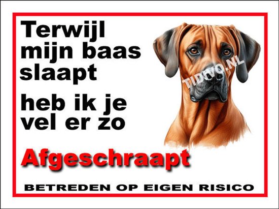 Weimaraner Rhodesian Ridgeback 15 | bol