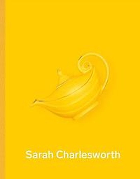 Sarah Charlesworth, Rochelle Steiner | 9783791356815 | Boeken | bol