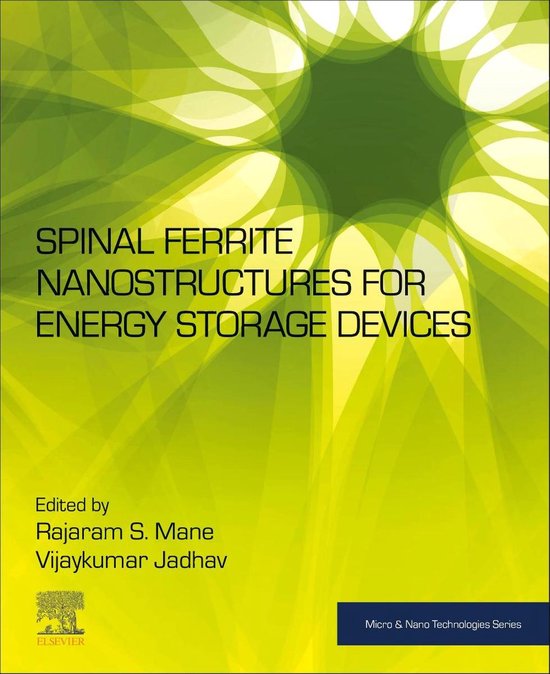 Spinal Ferrite Nanostructures Energy Sto | 9780128192375 | Rajaram S ...