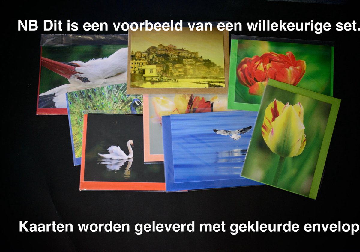 Wenskaarten set van 10 kaarten | bol