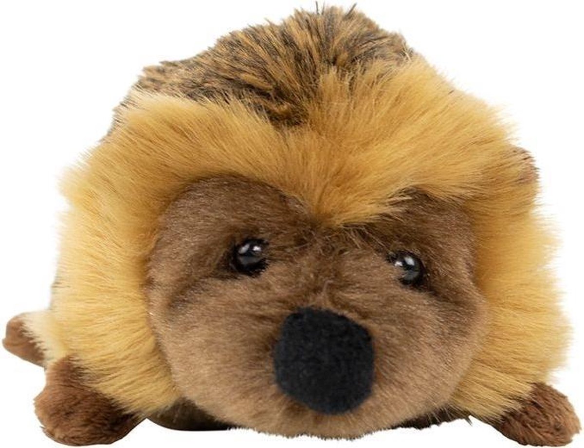 Knuffel Egel (15 cm) | bol.com