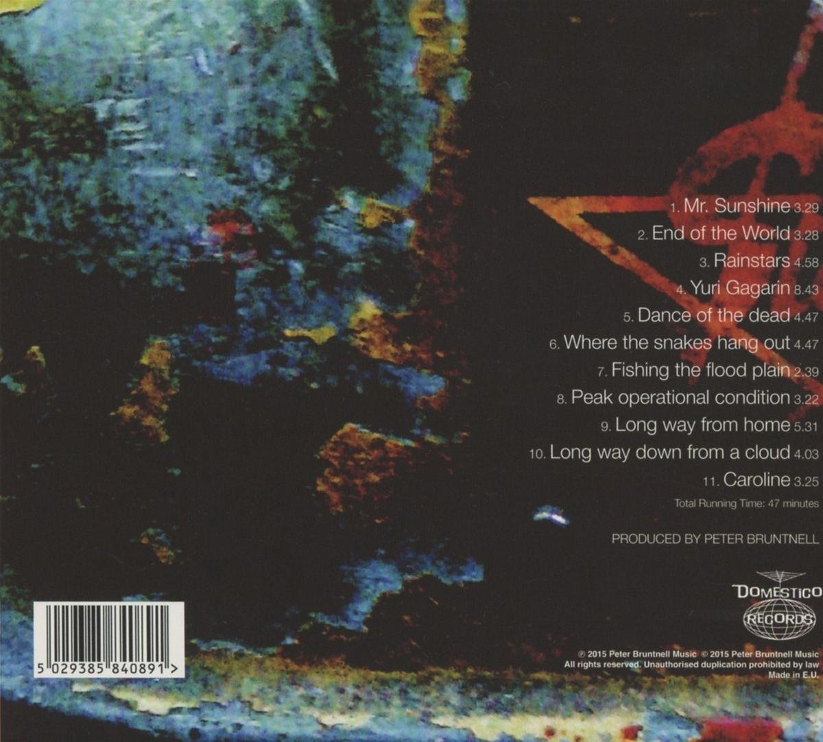 Peter Bruntnell - Nos Da Comrade (CD), Peter Bruntnell | Muziek | bol