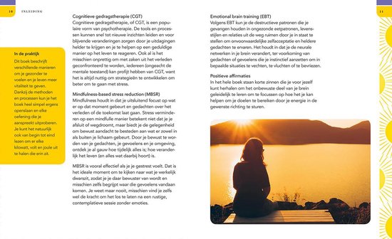 Energie, Oliver Luke Delorie | 9789463594042 | Boeken | bol