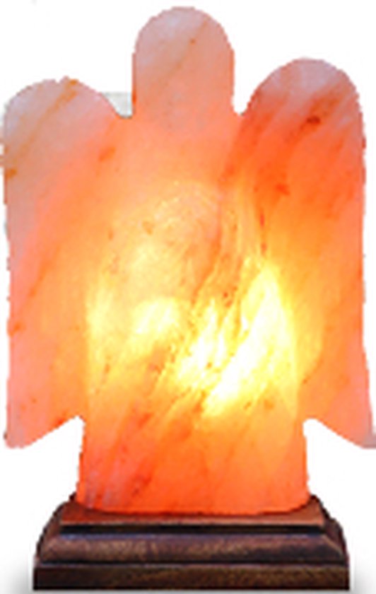 Pink Himalaya Engel lamp (3000 gram) | bol