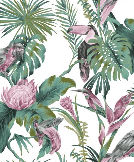 Behang tropisch toekan - Behang - Wandbekleding - Wallpaper ...