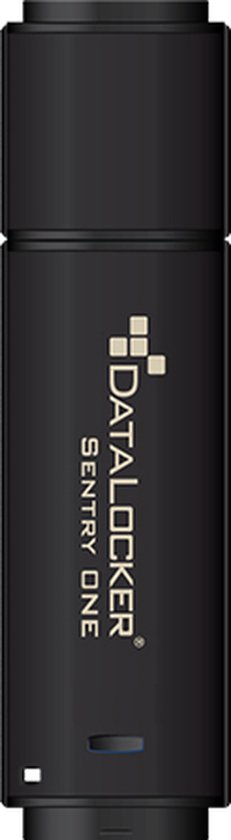 DataLocker Sentry ONE USB flash drive 128 GB USB Type-A 3.2 Gen 1 (3.1 ...