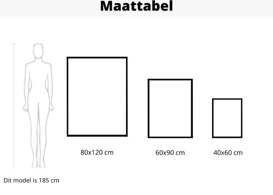 Wallyard - Glasschilderij Leeuw - Wall art - Schilderij - 80x120 cm ...