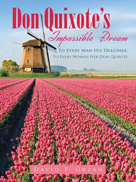 Don Quixote's Impossible Dream (ebook), David P. Grzan | 9781467037006 ...