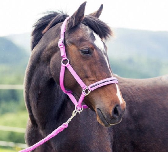 Horze halster Roze met strass steentjes - pony | bol