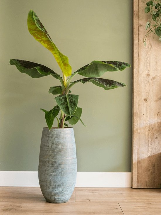 Hoge pot Ryan Shiny Blue 27 cm ronde blauwe bloempot voor binnen | bol