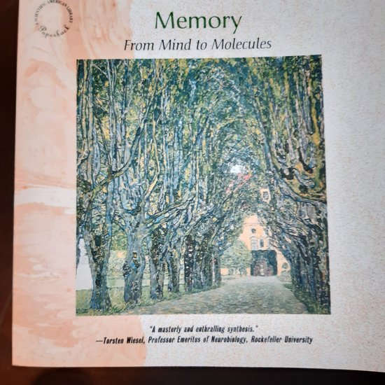 Memory | 9780716760375 | Larry Squire | Boeken | bol.com