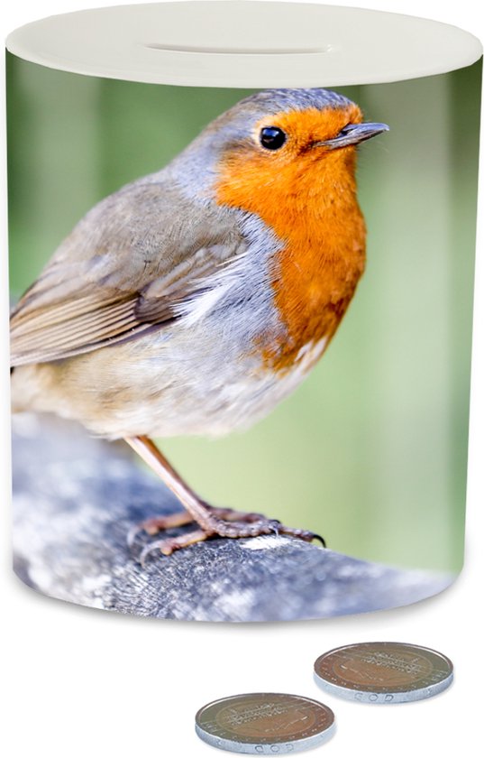 Spaarpot - Spaarblik - Roodborstje - Tak - Hout - Spaarpotten ...