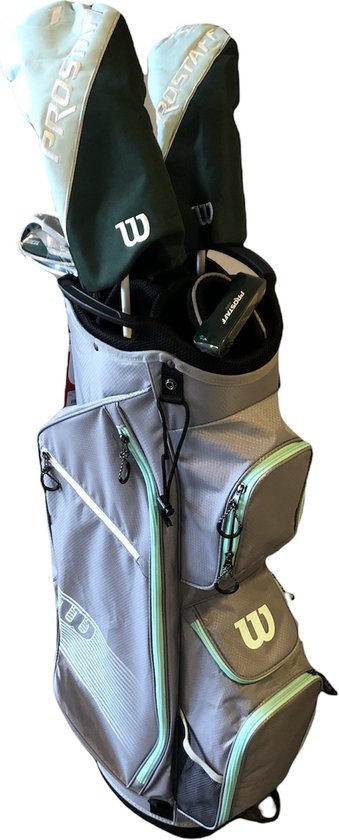 Wilson Staff D9 IJzers 5-SW 2021 (graphite shaft) | Rechtshandig ...