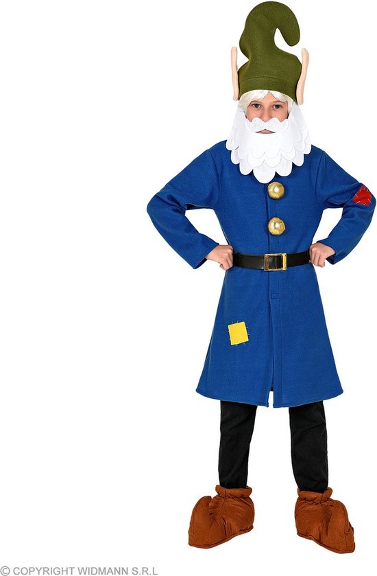 Dwerg & Kabouter Kostuum | Altijd Bezige Mijn Kabouter Sneezy | Jongen ...