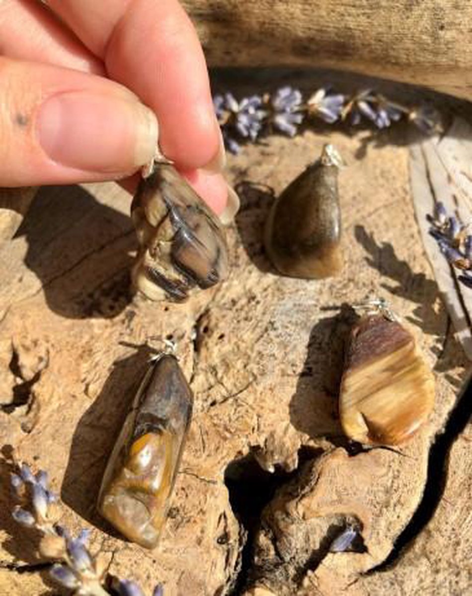 Ruben Robijn Versteend hout edelsteen hanger | bol.com