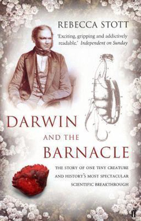 Darwin And The Barnacle, Rebecca Stott | 9780571216093 | Livres | bol