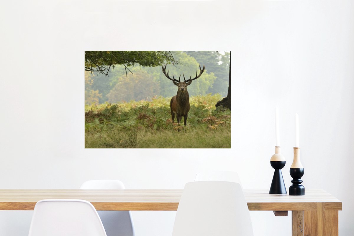 Edelhert in de natuur Poster 60x40 cm - Foto print op Poster ...