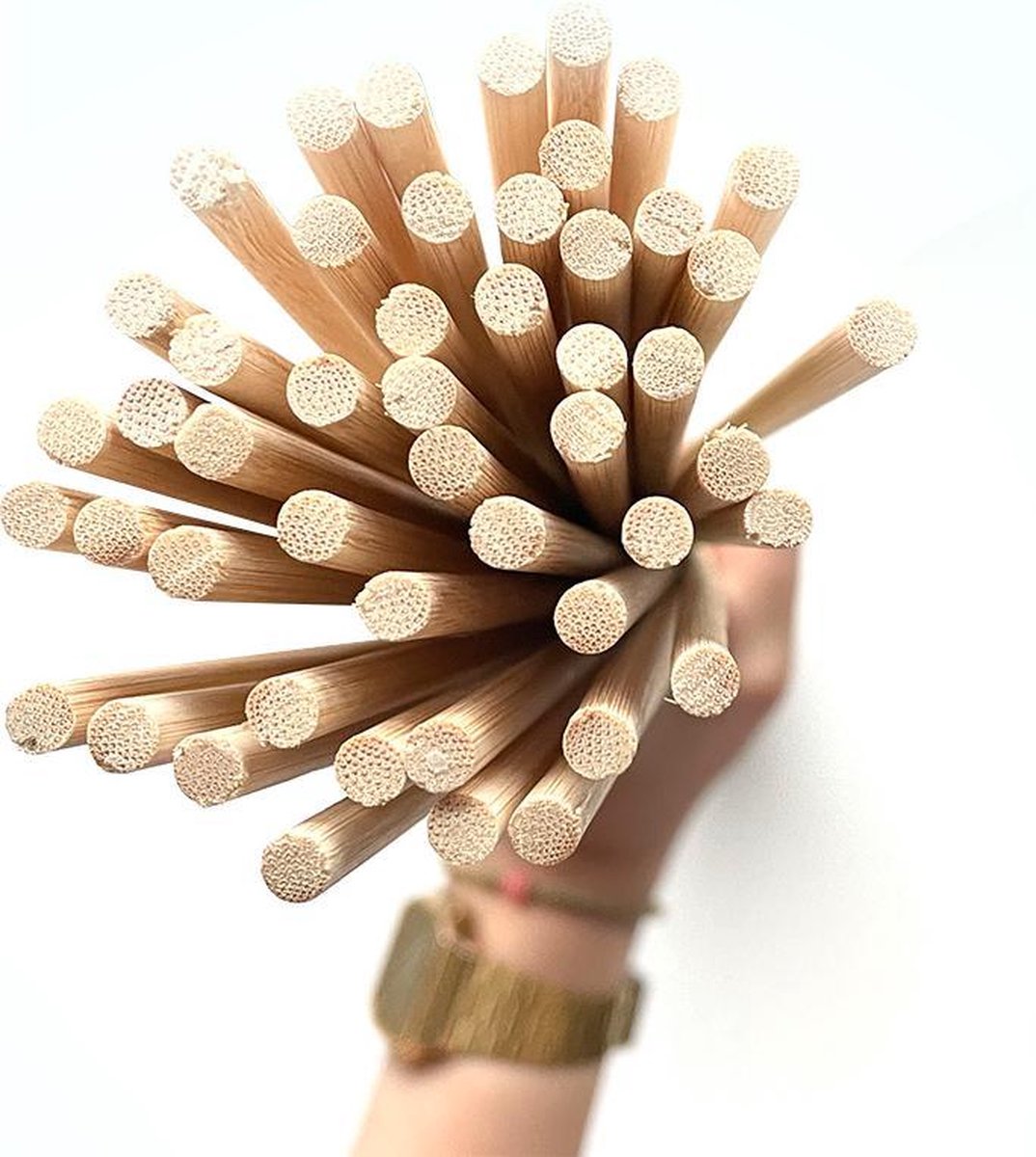 50 x bamboestok van 50 cm | Bamboe stokken voor planten ...