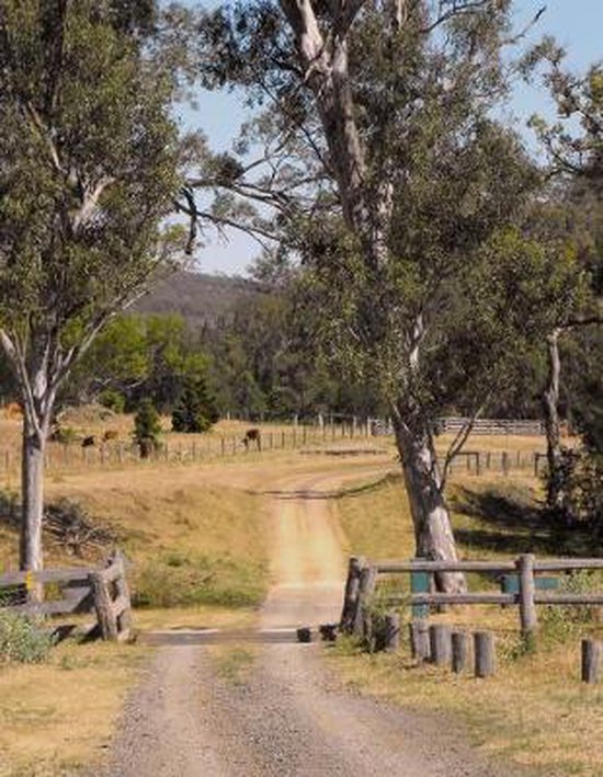 Notebook, Wild Pages Press | 9781687397102 | Boeken | bol.com