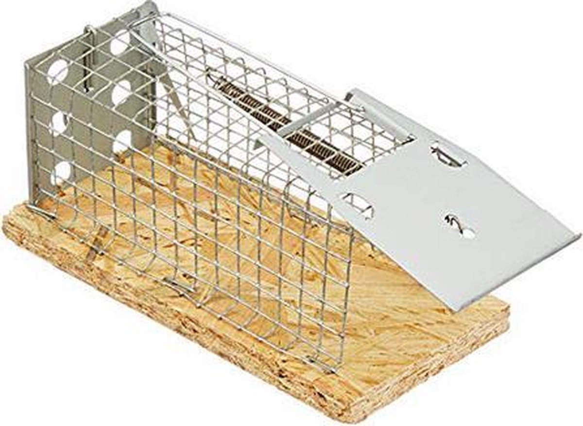 Set van 4 Diervriendelijke Muizenvallen - Inloopval - Muizenkooi ...