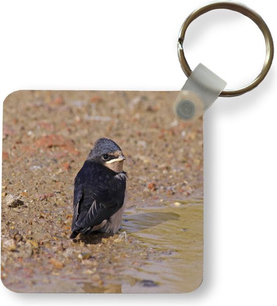 Sleutelhanger - Zwaluw - Baby - Water - Uitdeelcadeautjes - Plastic | bol