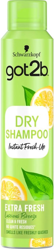 Got2B - Refreshing dry shampoo Fresh it Up Extra Fresh (Dry Shampoo ...