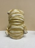 Decoratief polyresin slapend dier - bruine hond - hoogte 20x19x17 cm ...
