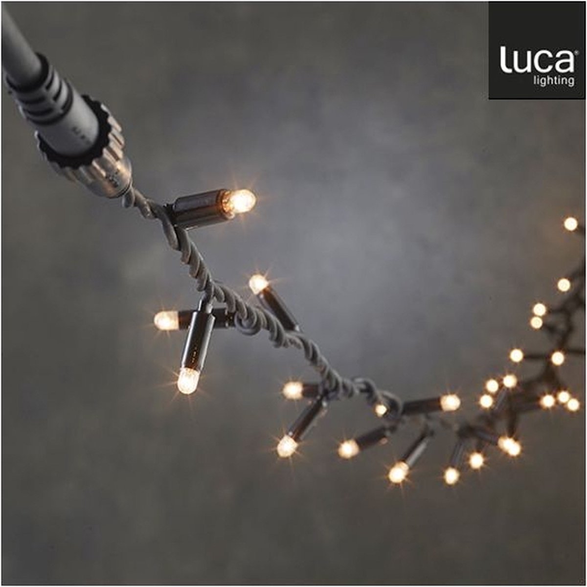 Luca Lighting Connect XP Lichtsnoer met 50 LED Lampjes - L500 cm ...