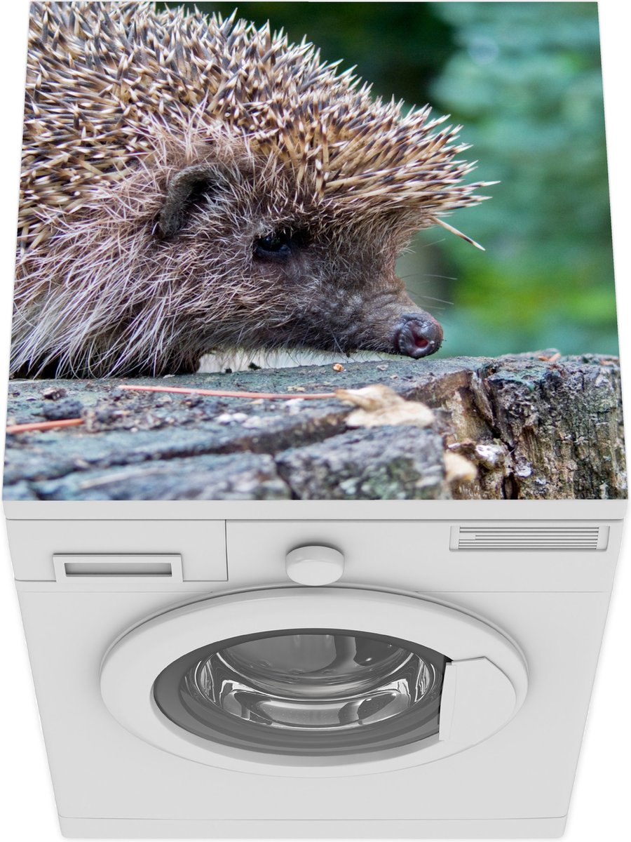 Protège machine à laver - Tapis de machine à laver - Hérisson - Forêt ...