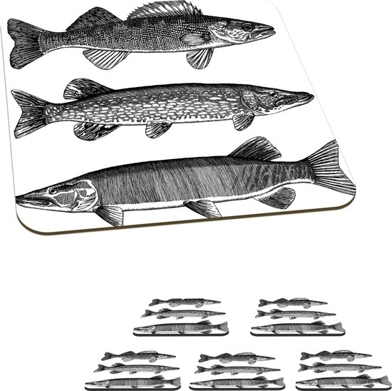 Onderzetters voor glazen - Een illustratie van drie vissen - 10x10 cm -... | bol