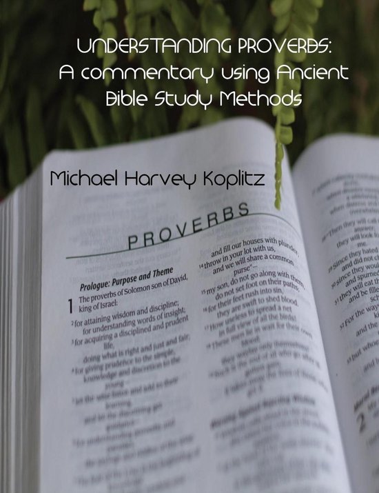 Understanding Proverbs (ebook), Michael Harvey Koplitz | 9798227679635 | Boeken | bol