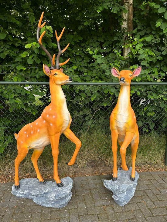 Goodyz - Dieren - Herten - Bok en Hinde - Set - op Rots - Size XXXL - | bol