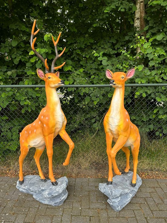 Goodyz - Dieren - Herten - Bok en Hinde - Set - op Rots - Size XXXL - | bol