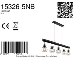Globo hanglamp Mina - zwart - metaal - 15326-5NB | bol