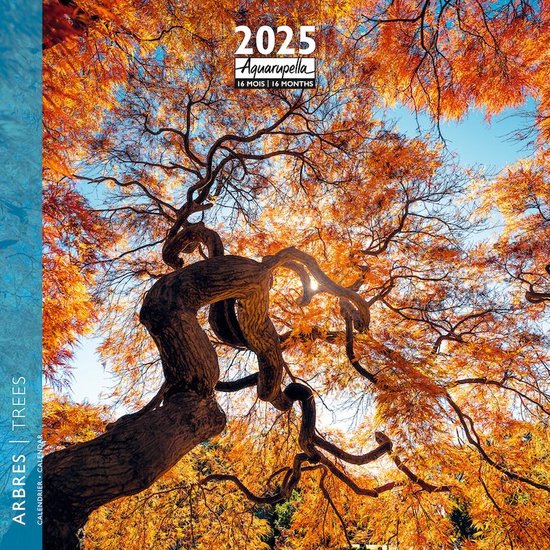 Arbres - Trees Kalender 2025 | bol